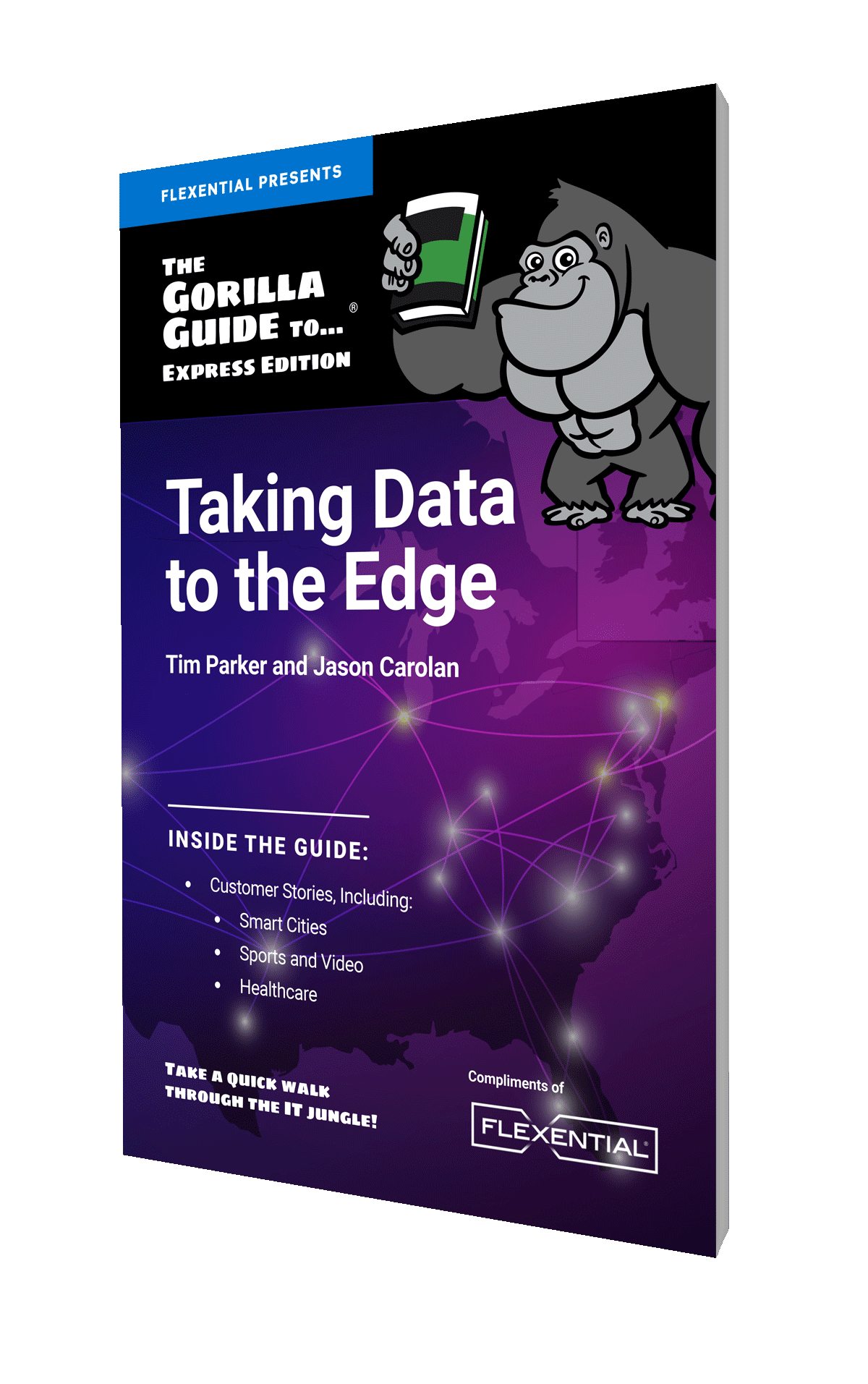Gorilla Guide : Taking Data to the Edge | Gorilla Guide