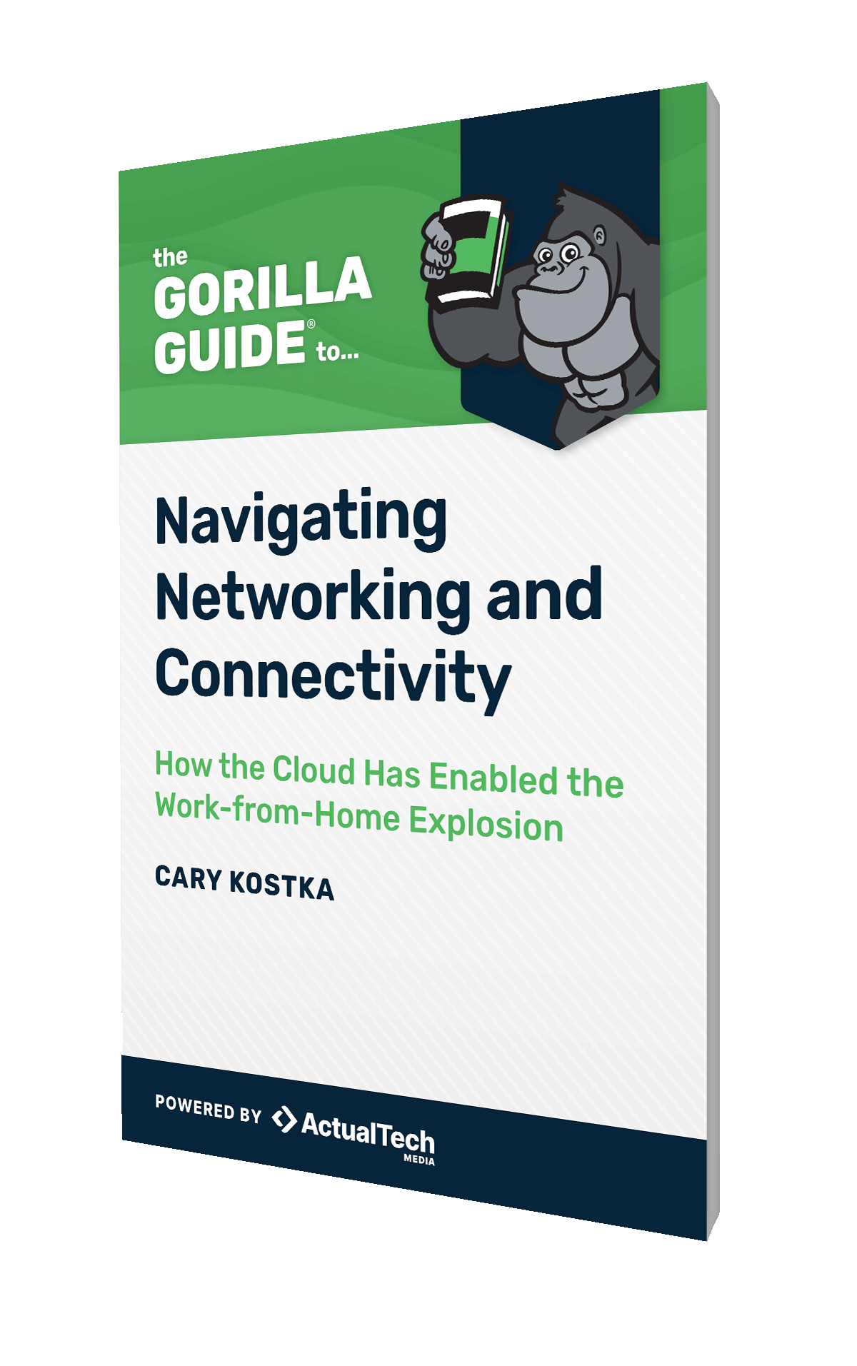 Gorilla Guide Foundation : The Gorilla Guide® To… Navigating Networking ...