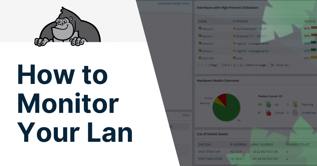 How to Monitor Your LAN - Gorilla Guide