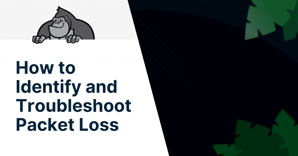 How to Identify and Troubleshoot Packet Loss - Gorilla Guide