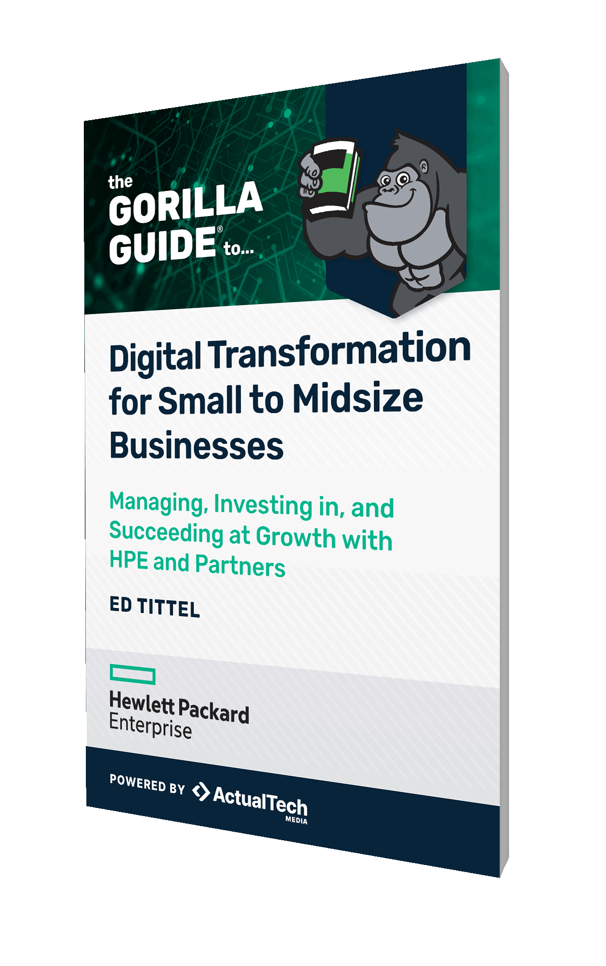 Gorilla Guide : The Gorilla Guide® To… Digital Transformation for Small ...