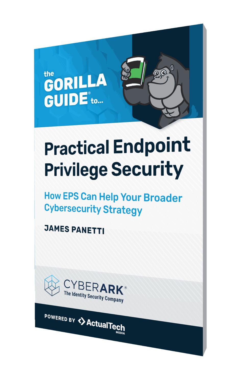Gorilla Guide Express : The Gorilla Guide® To… Practical Endpoint Privilege Security | Gorilla Guide