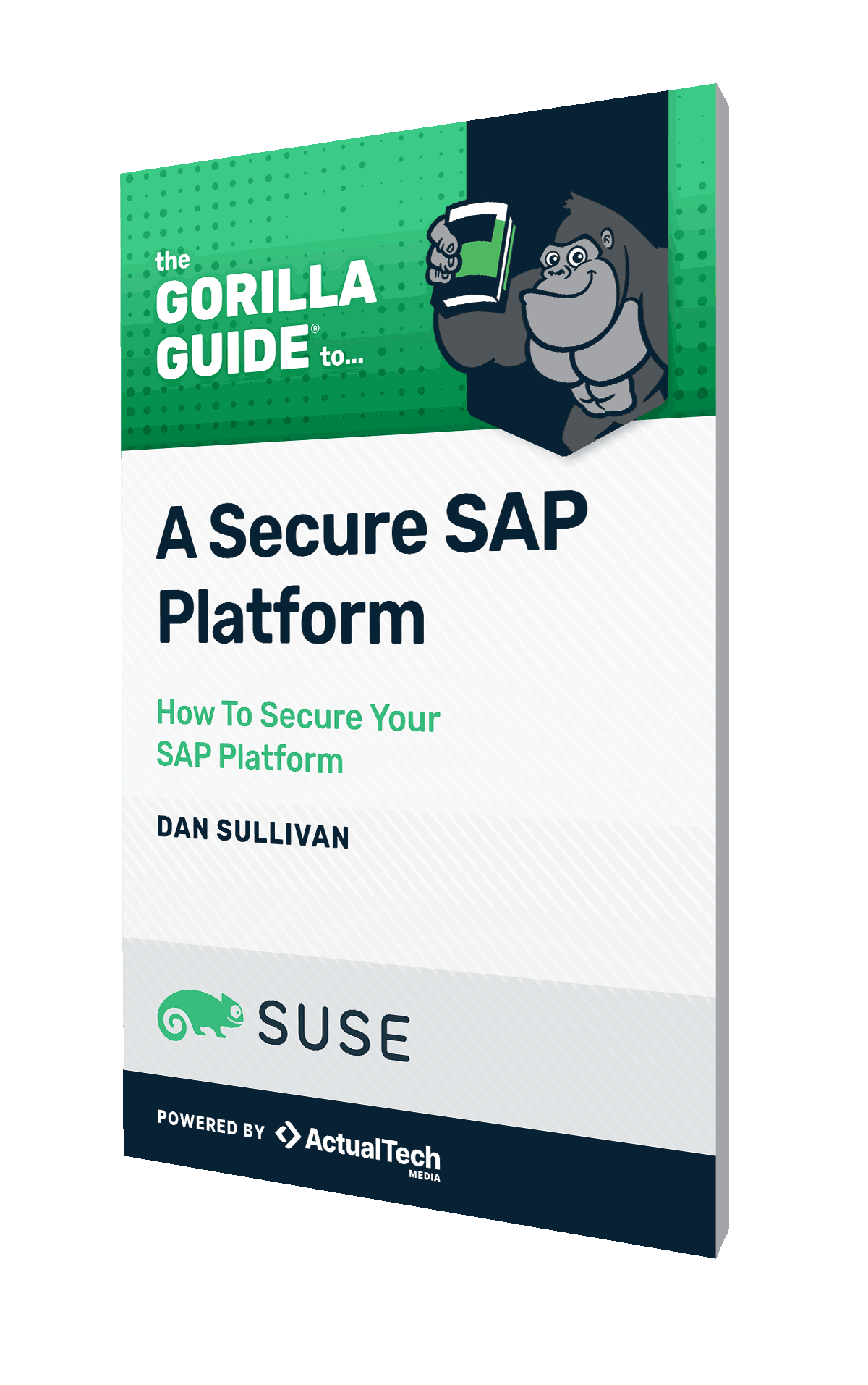 Gorilla Guide : The Gorilla Guide® To… A Secure SAP Platform | Gorilla ...